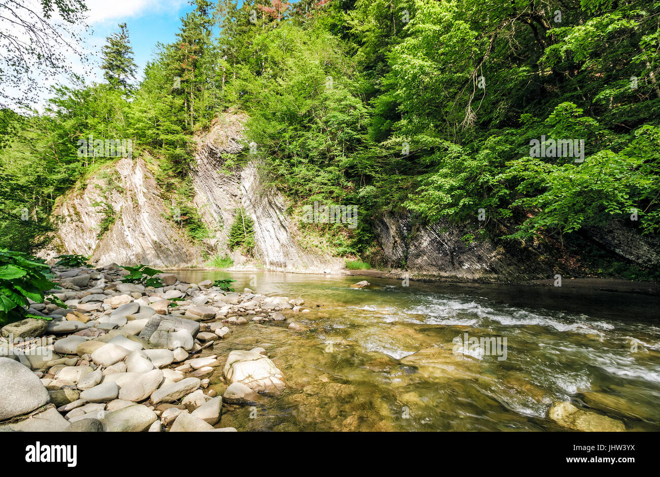 rapid flow of the river in forest. beautiful nature background Stock ...