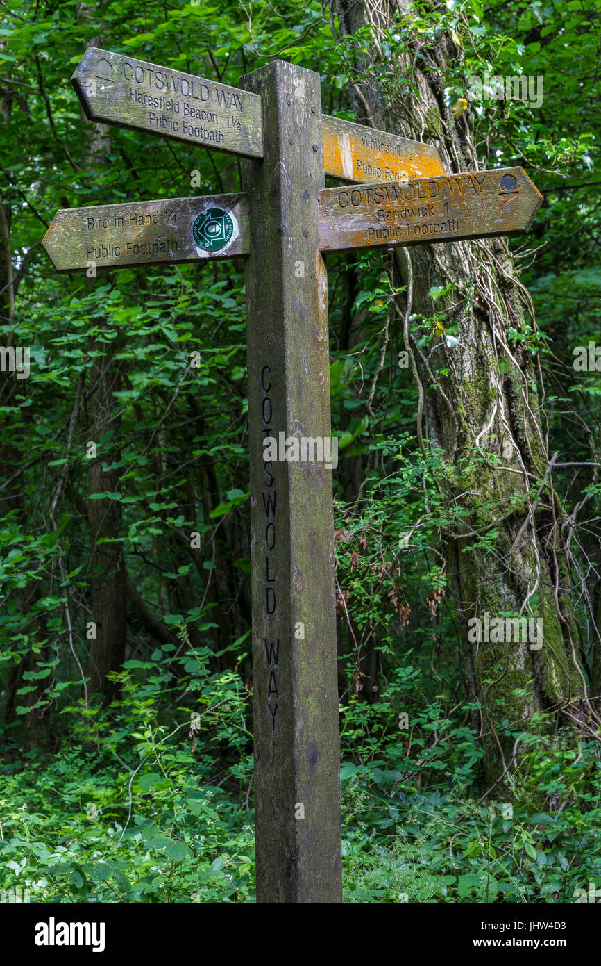 Standish woods hi-res stock photography and images - Alamy