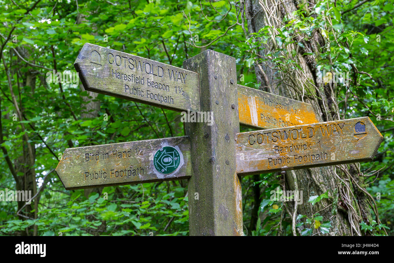 Cotswold Way signpost in Standish Wood Stock Photo - Alamy