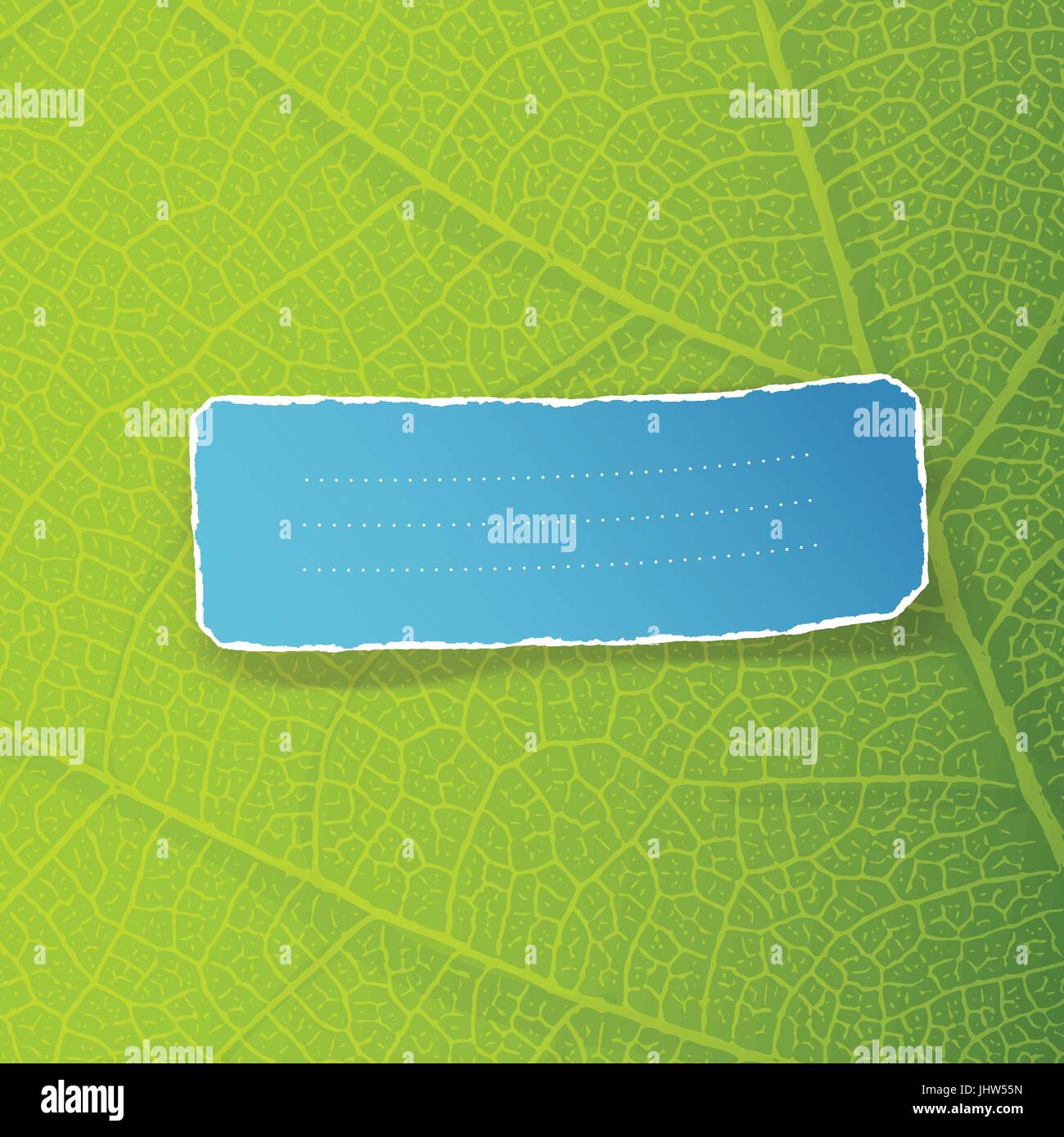 Torn label hi-res stock photography and images - Alamy