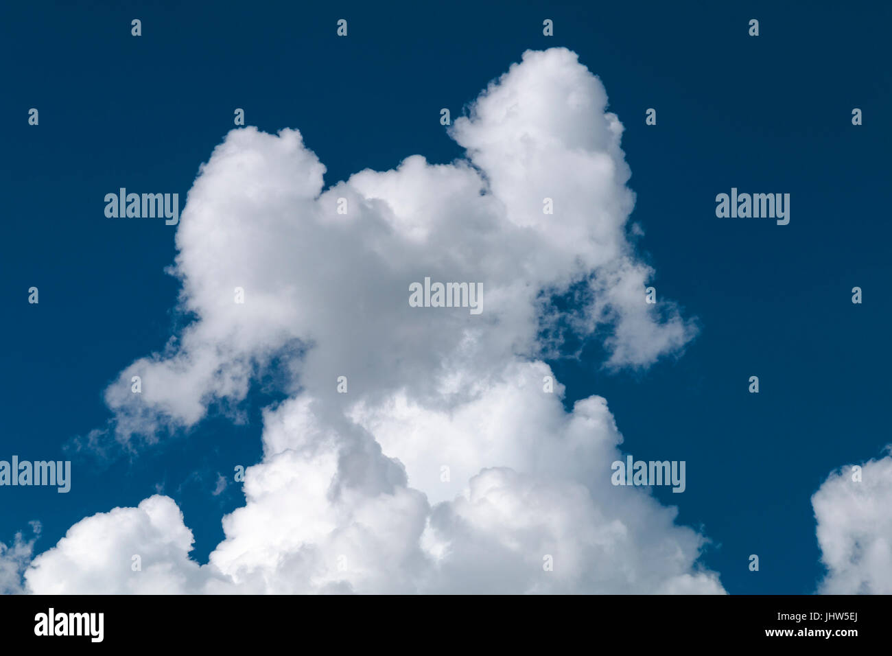 Blue sky with cloud looking up hi-res stock photography and images - Alamy