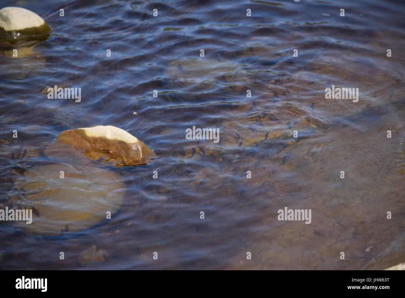 Rocks in water Stock Photo - Alamy