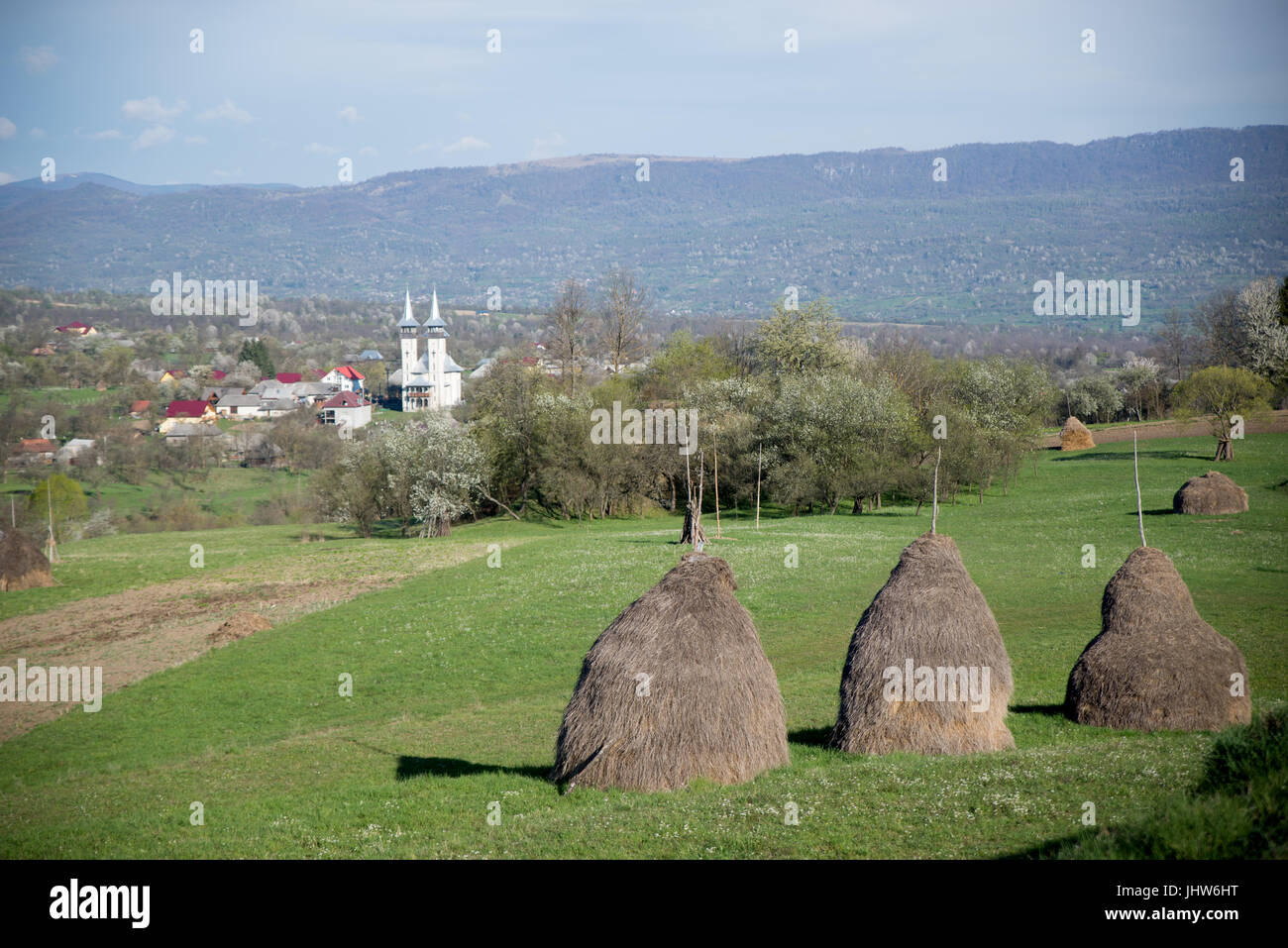 Haystacks in the countryside, District of Maramures, Romania Stock ...