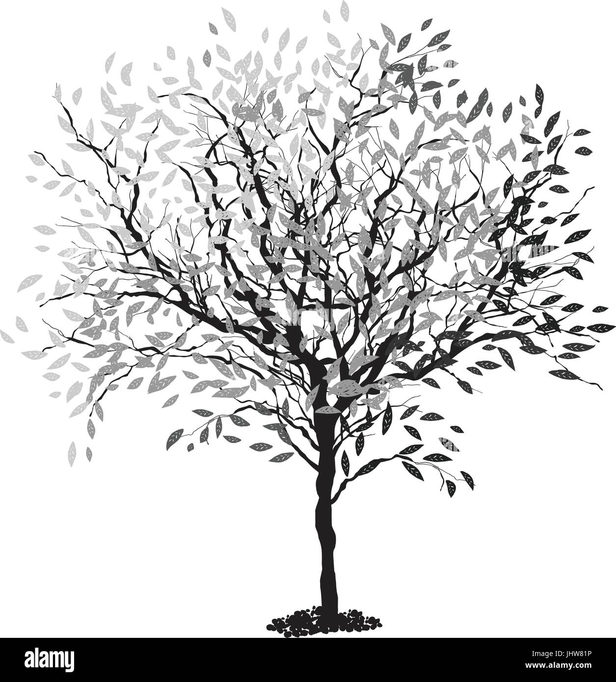 Tree silhouette. The trunk and leaves in separate layers. Vector ...