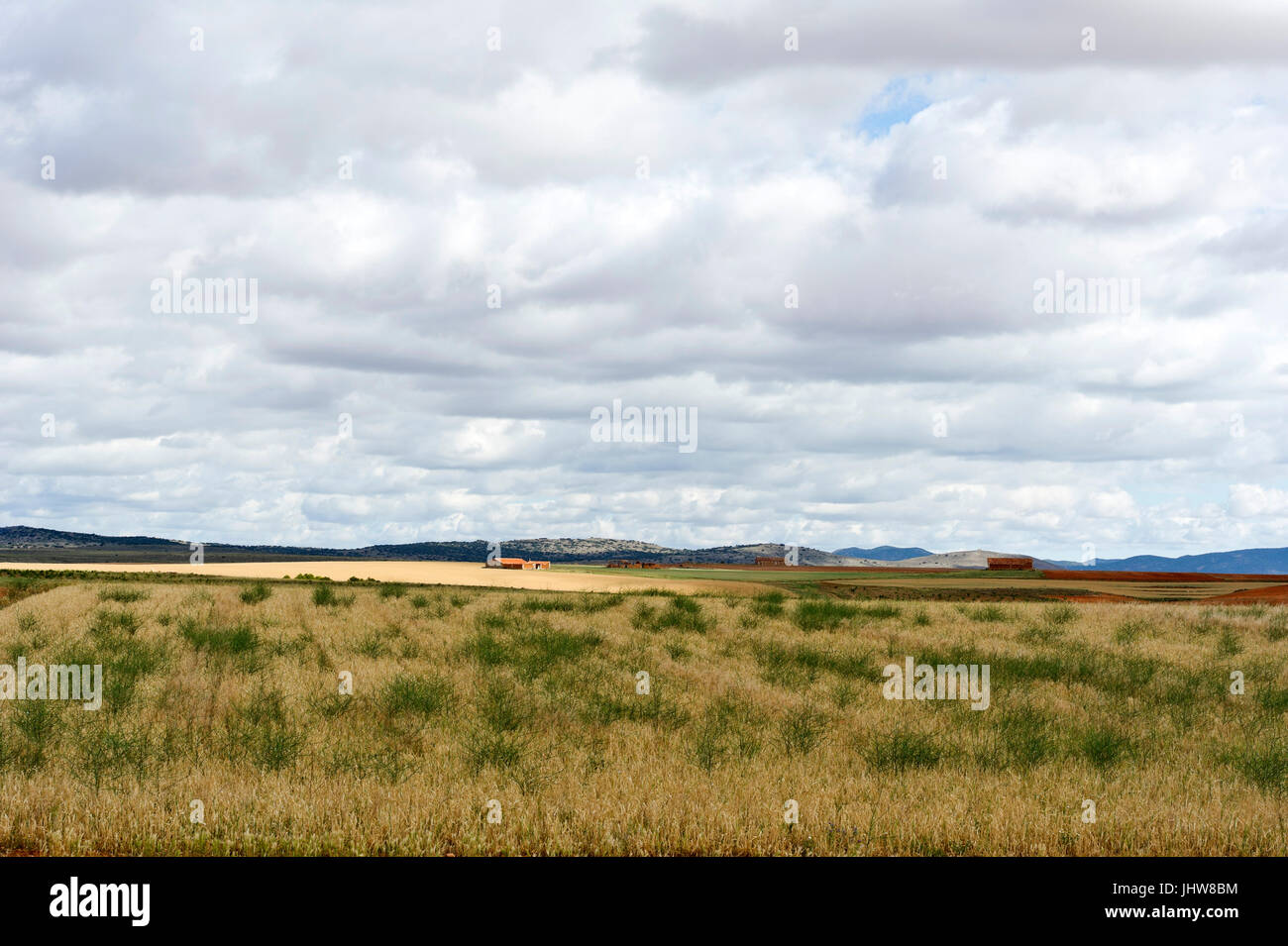 Open landscape hi-res stock photography and images - Alamy