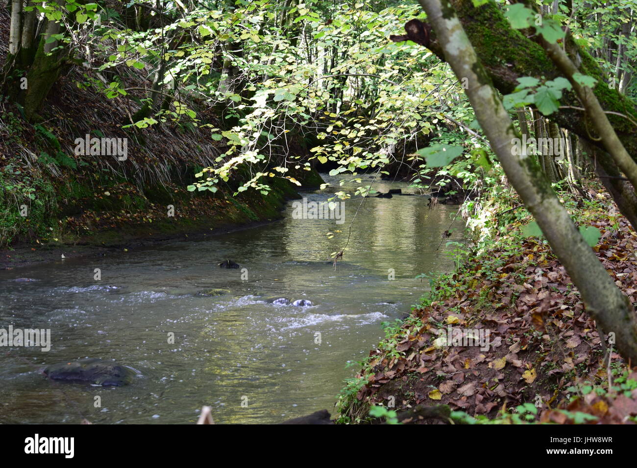 River fail hi-res stock photography and images - Alamy