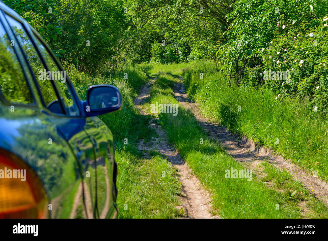 The blue car is parked on a forest road. Focus on the trees Stock Photo ...