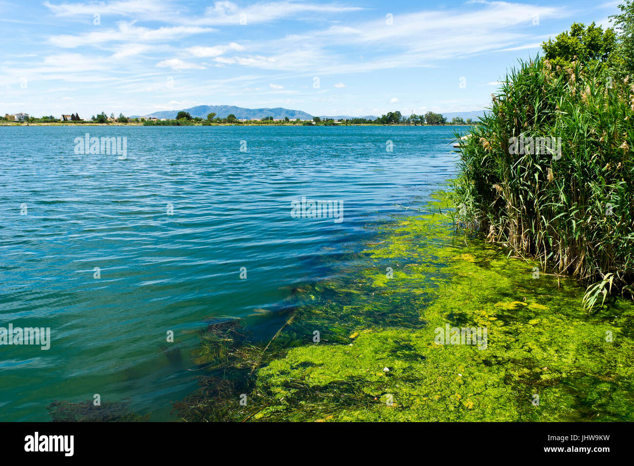 River Ebre, Deltebre, Delta se lEbre, Eastern Spain Stock Photo - Alamy