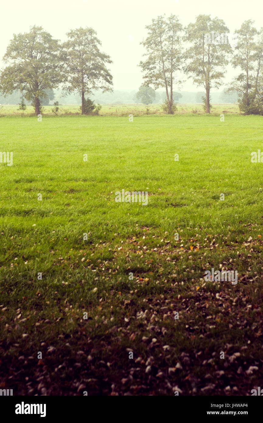 Germany rural mist hi-res stock photography and images - Alamy