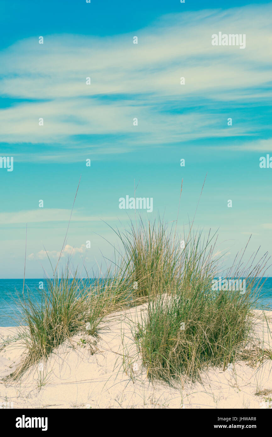 Dune cover hi-res stock photography and images - Alamy