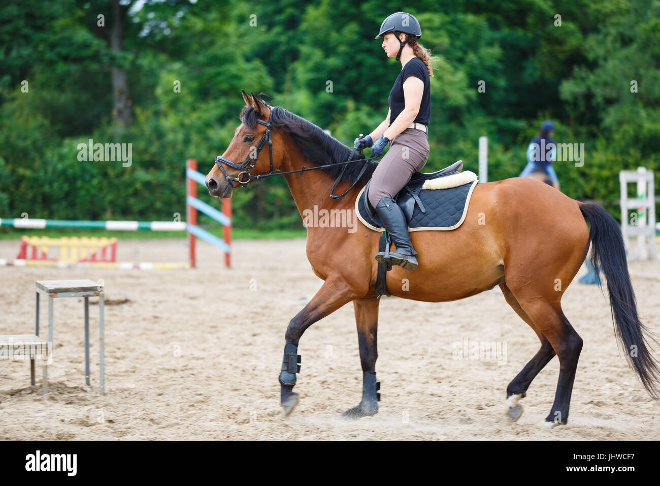 Horse rider is training in the arena outdoors Stock Photo - Alamy