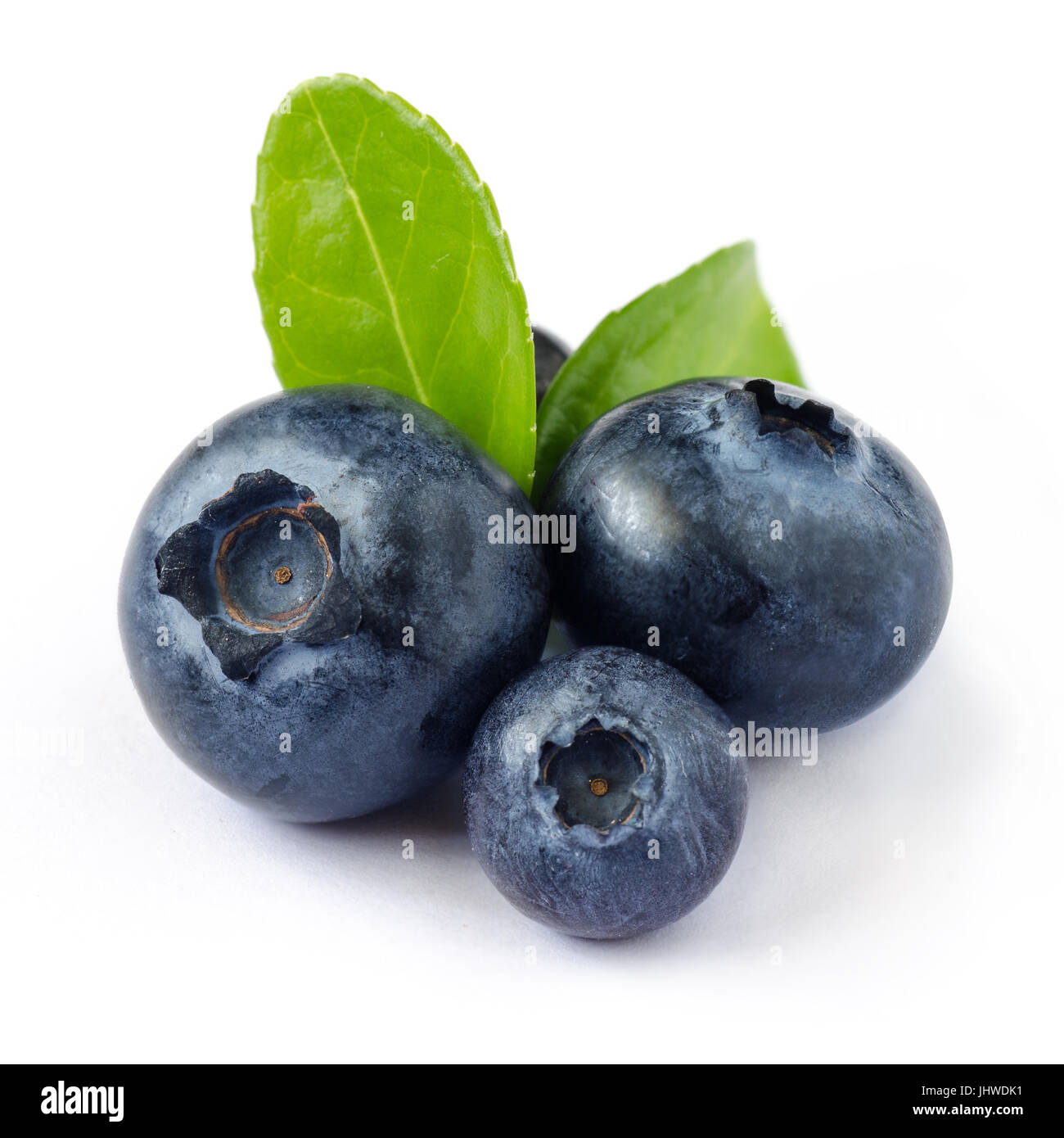 Close-up view of fresh Blueberries. Healthy eating and nutrition Stock ...