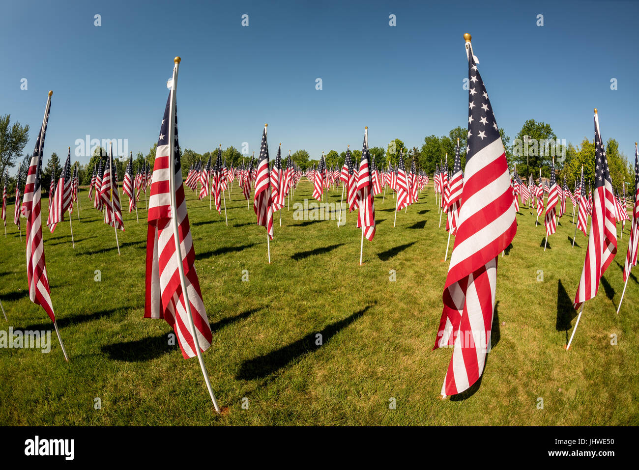Flags on poles in a pattern for celebration in a city park Stock Photo ...