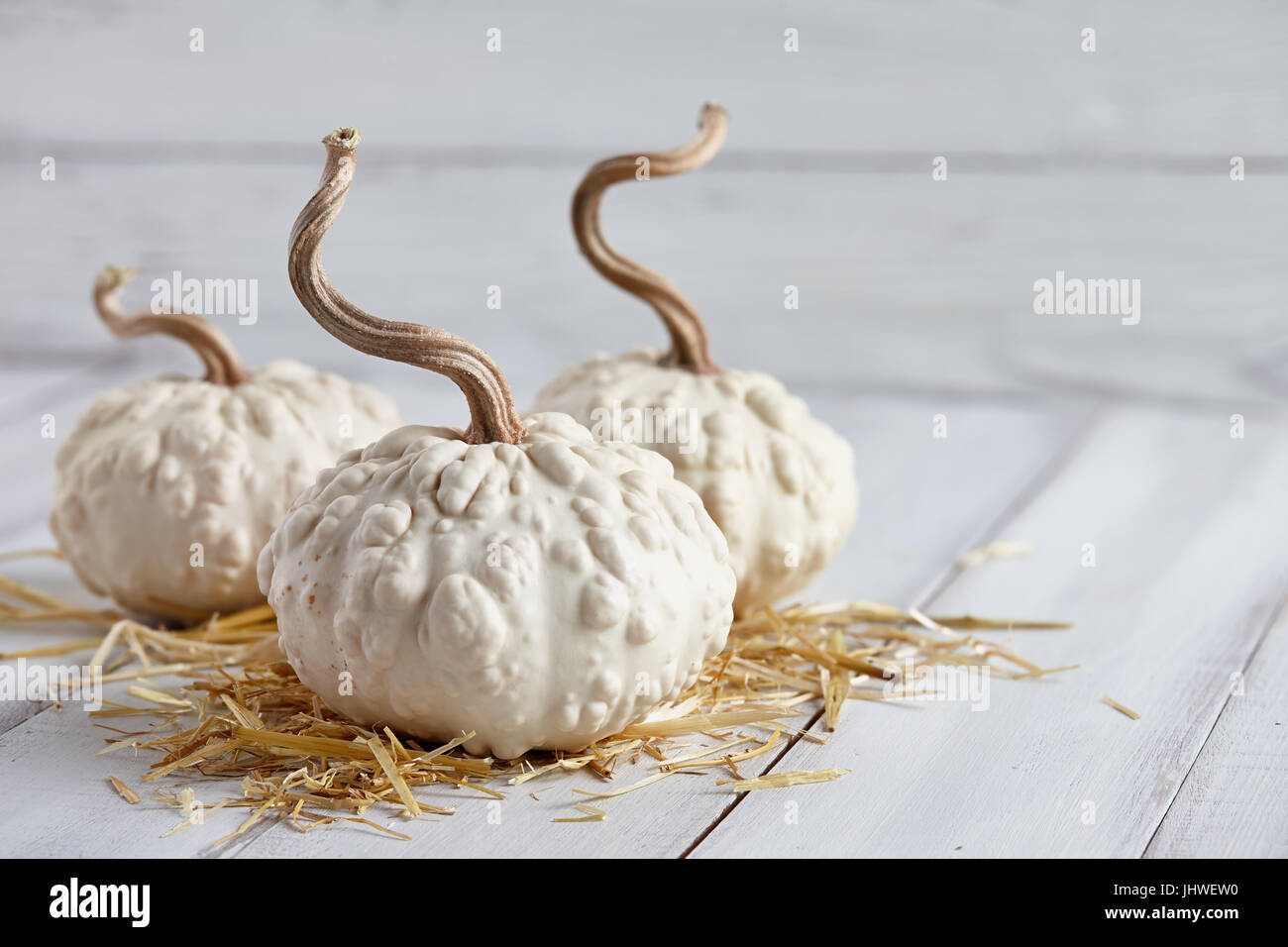 Casper pumpkin hi-res stock photography and images - Alamy