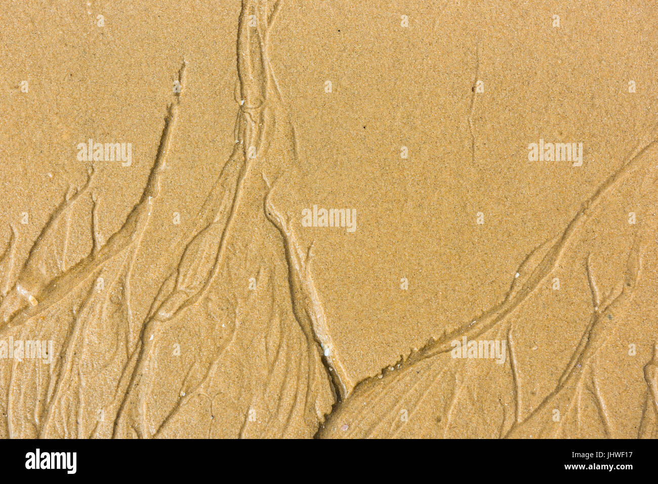 Top view of a sand sea bottom for background and texture Stock Photo ...