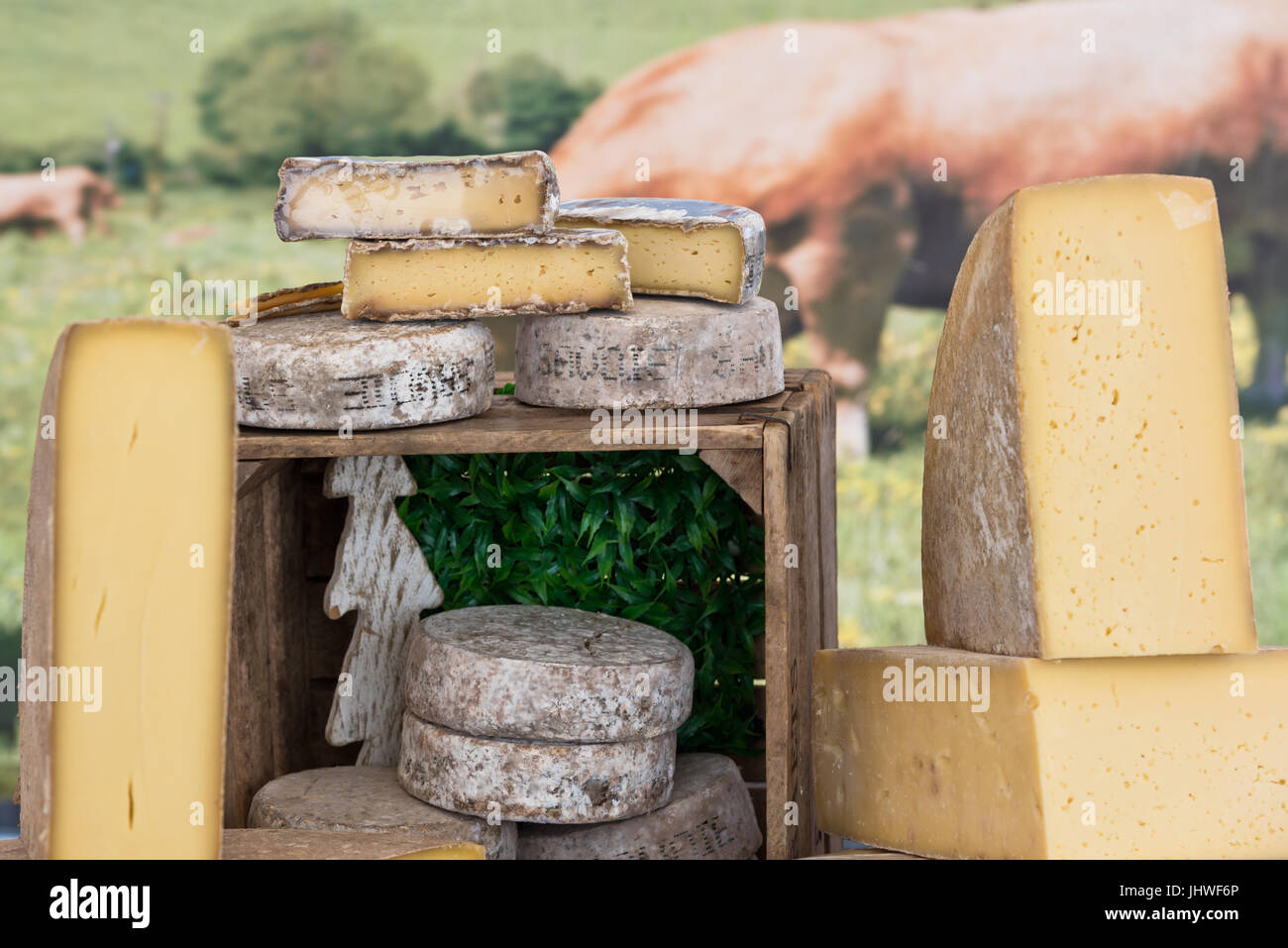 The big cheeses hi-res stock photography and images - Alamy