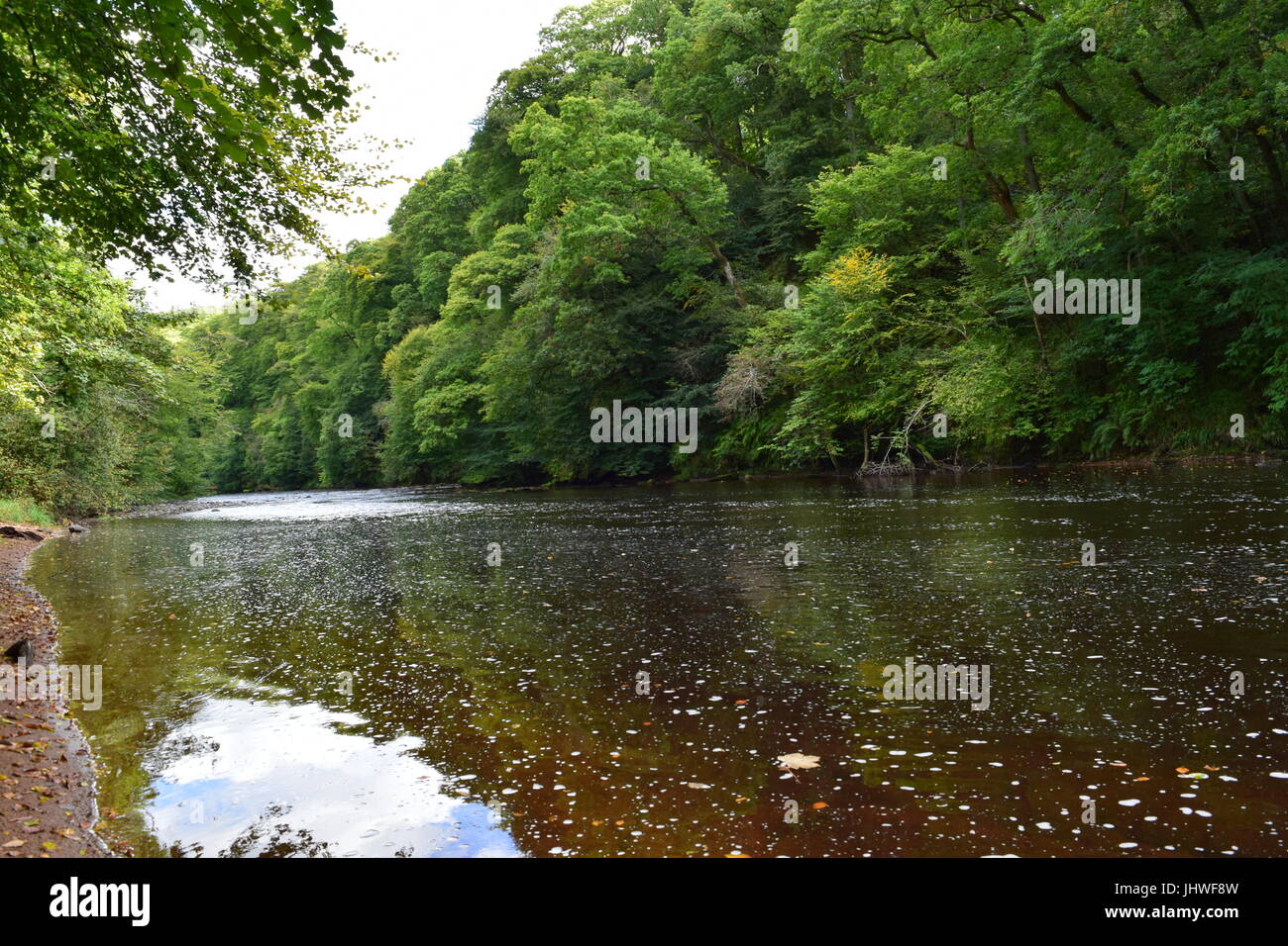 View of the River Ayr at Failford Stock Photo - Alamy