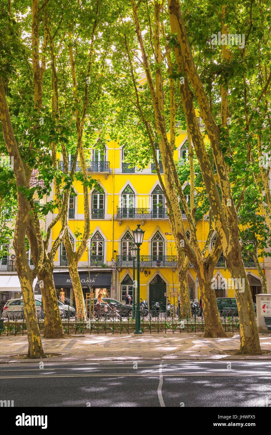 Tree Lined Boulevard Stock Photos & Tree Lined Boulevard Stock Images ...