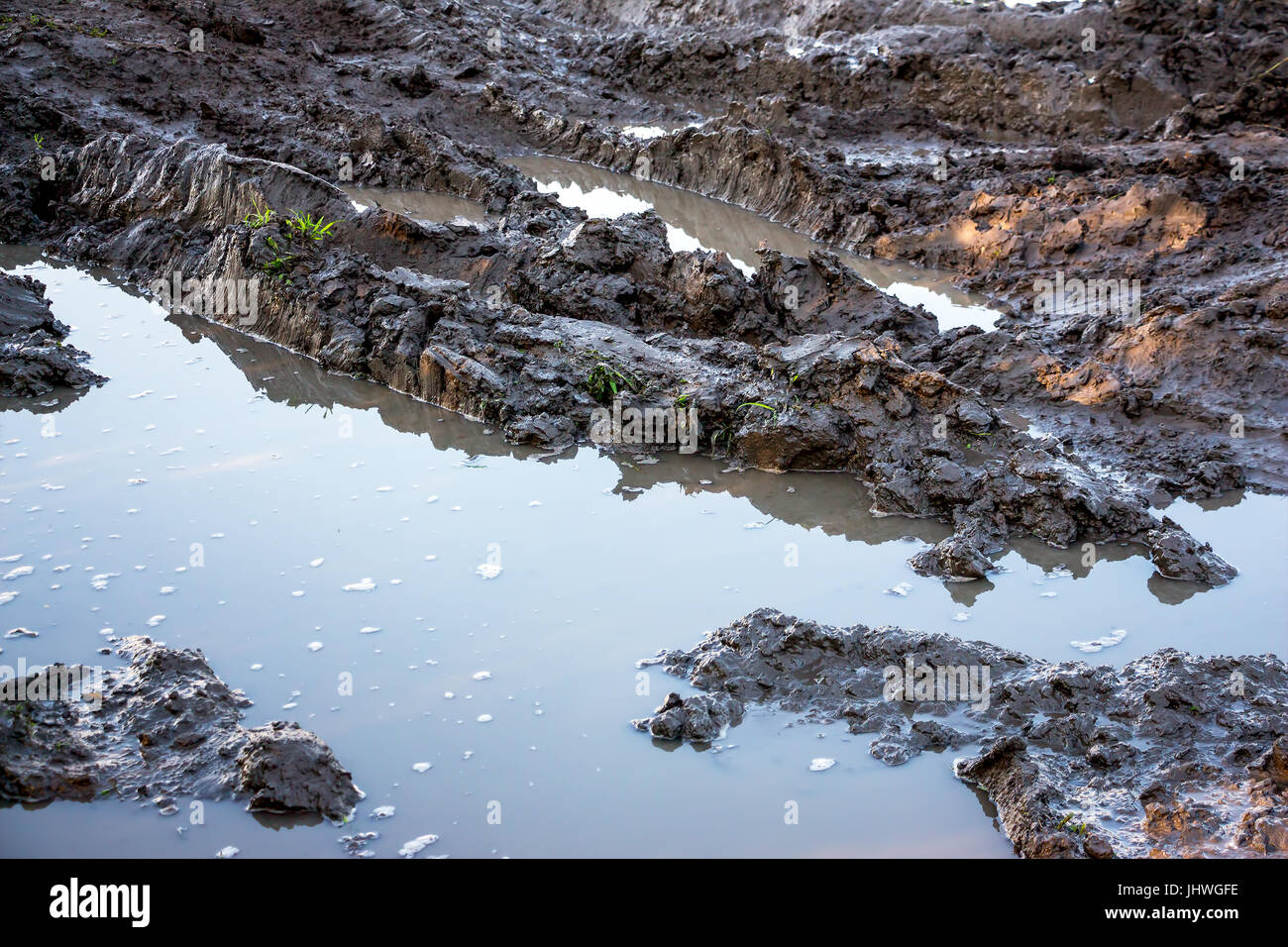 Dirt track in forest Stock Photo - Alamy