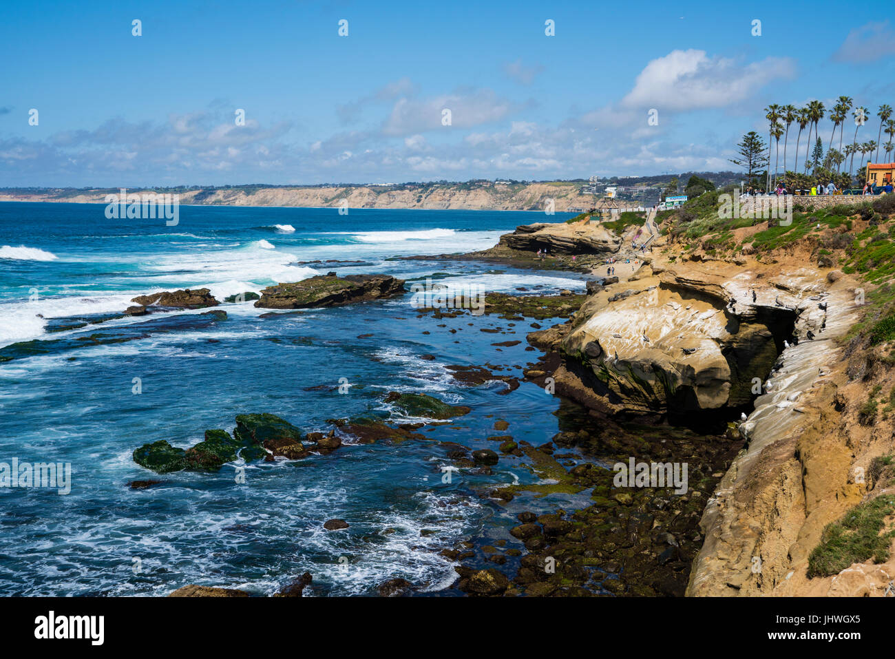 La Jolla Cal9ifornia shoreline andcliffs Stock Photo - Alamy
