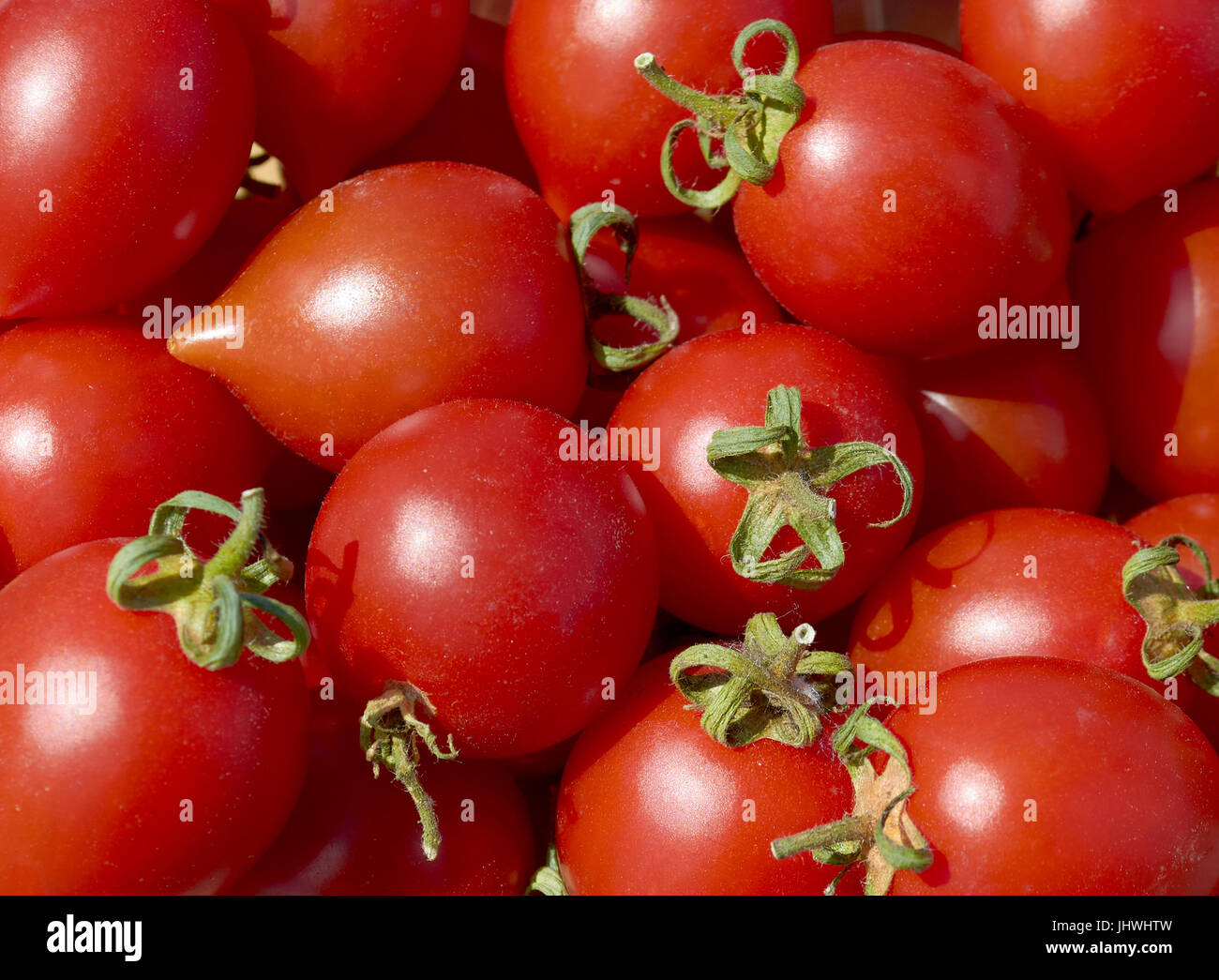 Tomato prop hi-res stock photography and images - Alamy