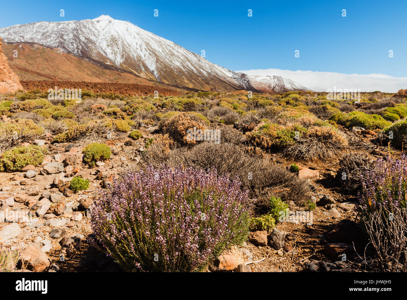 Arid landscape teide national hi-res stock photography and images - Alamy