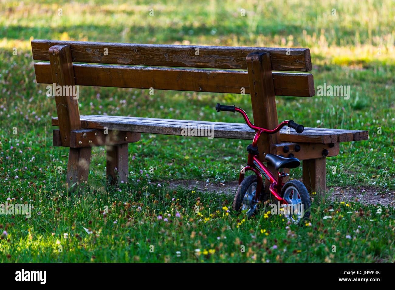 Wooden bench with a small bicycle for children standing on a meadow ...