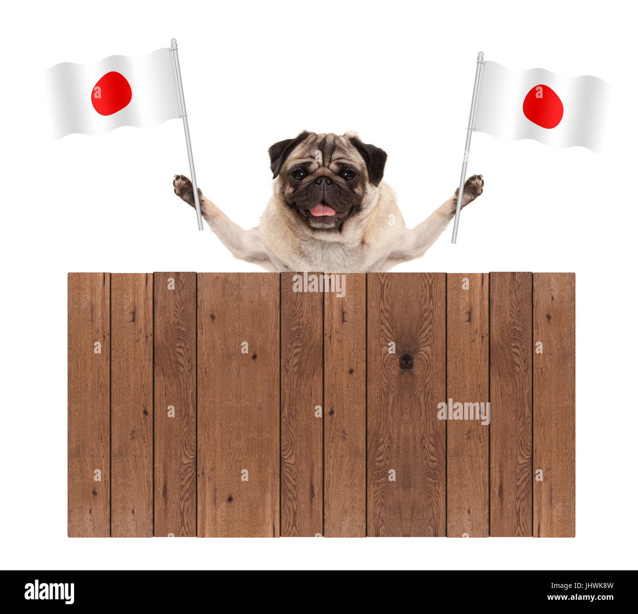 pug puppy dog with Japanese National flag and wooden fence, isolated on ...