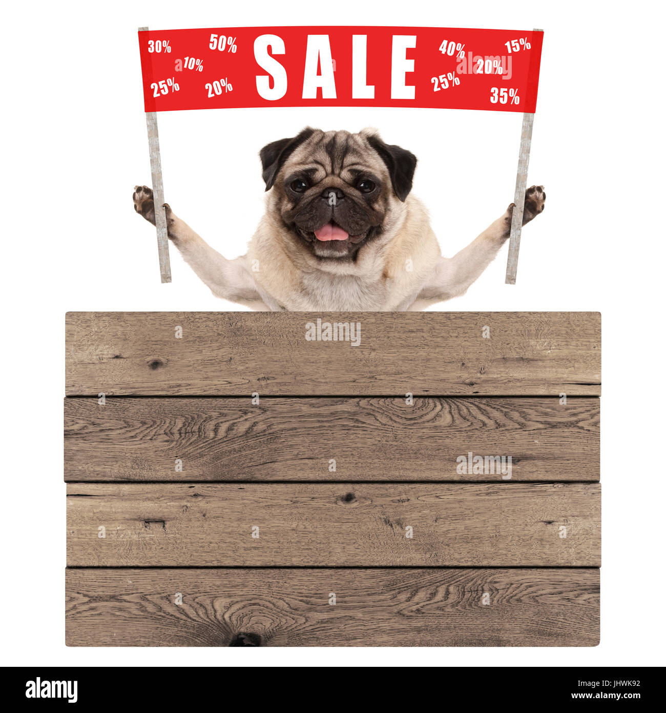 happy cute pug puppy dog holding up red banner sign with text sale ...