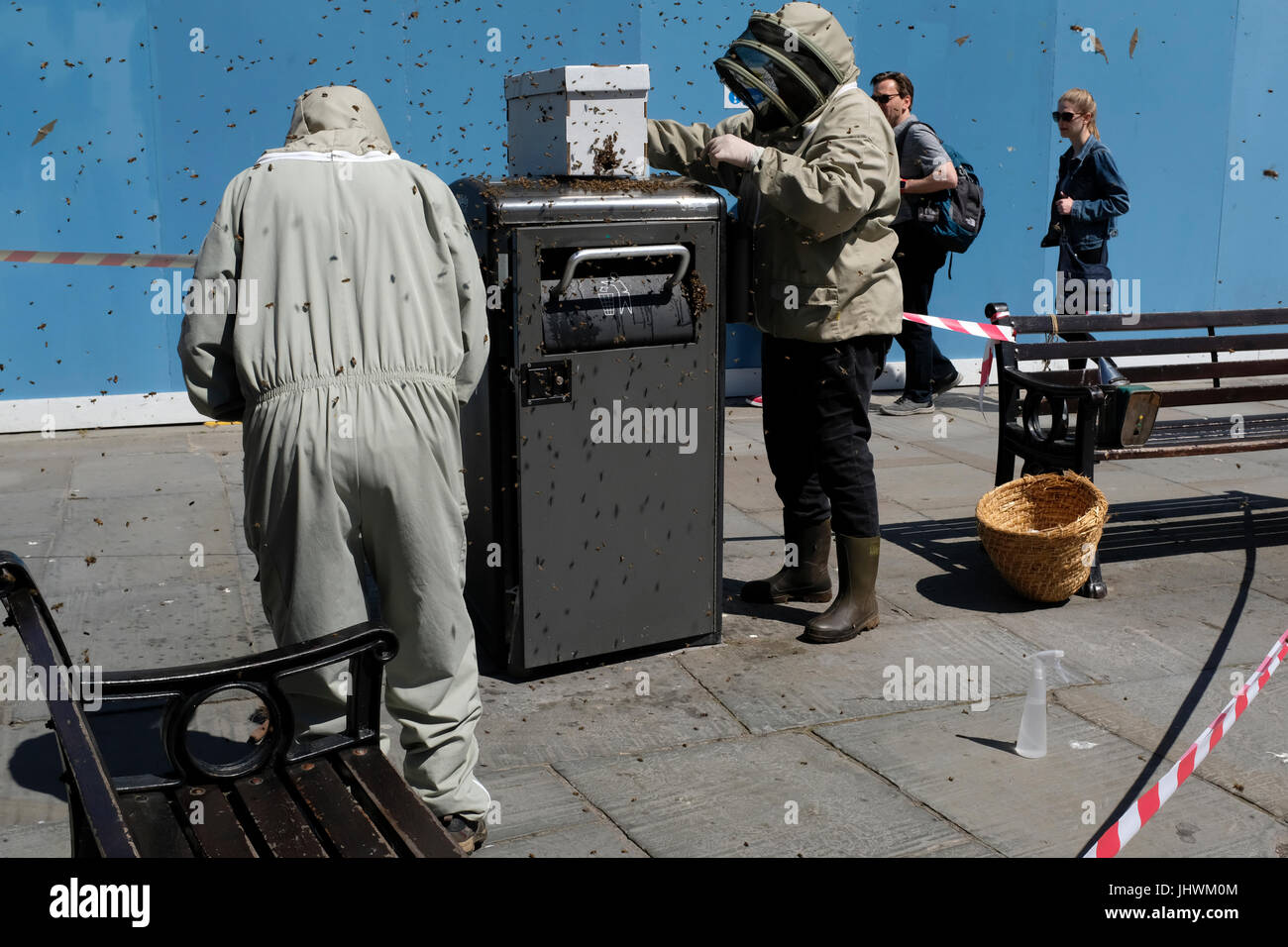 Beekeepers removing hive from garbage can in Bath, England Stock Photo ...