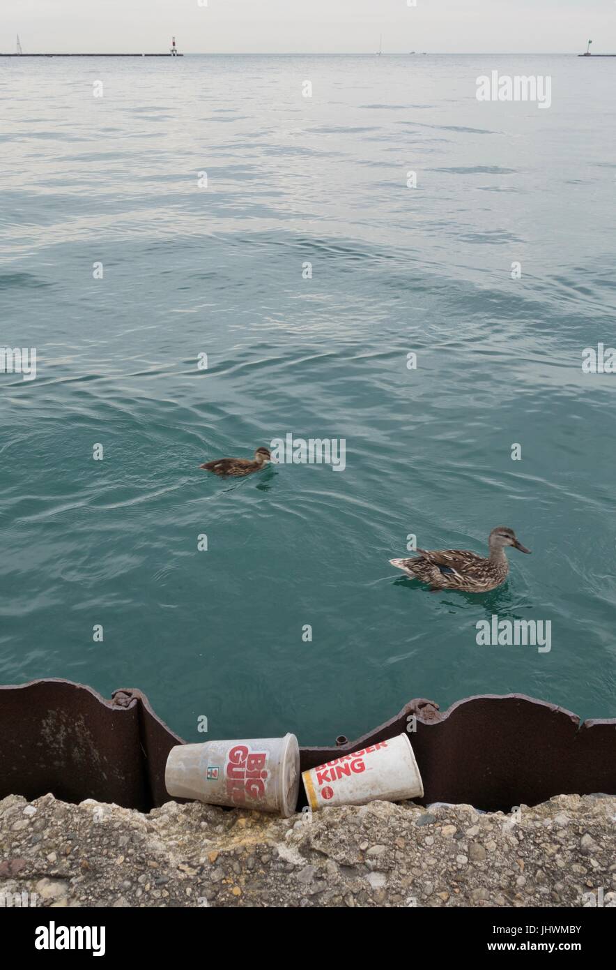Garbage on the shore of Lake Michigan in Chicago, IL, USA Stock Photo ...