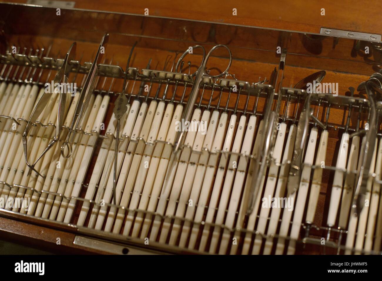 A display of antique surgical instruments on display at the ...