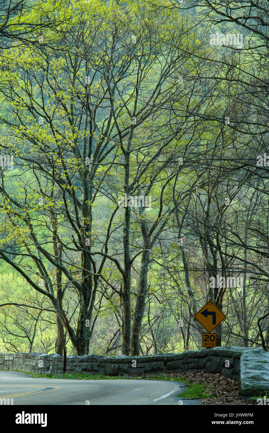 Spring in the Great Smoky Mountains National Park, TN Stock Photo - Alamy