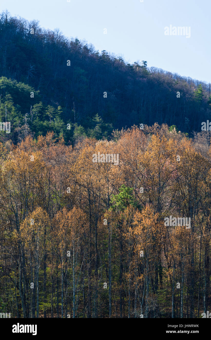 Early Spring in Wears Valley, Tennessee Stock Photo - Alamy
