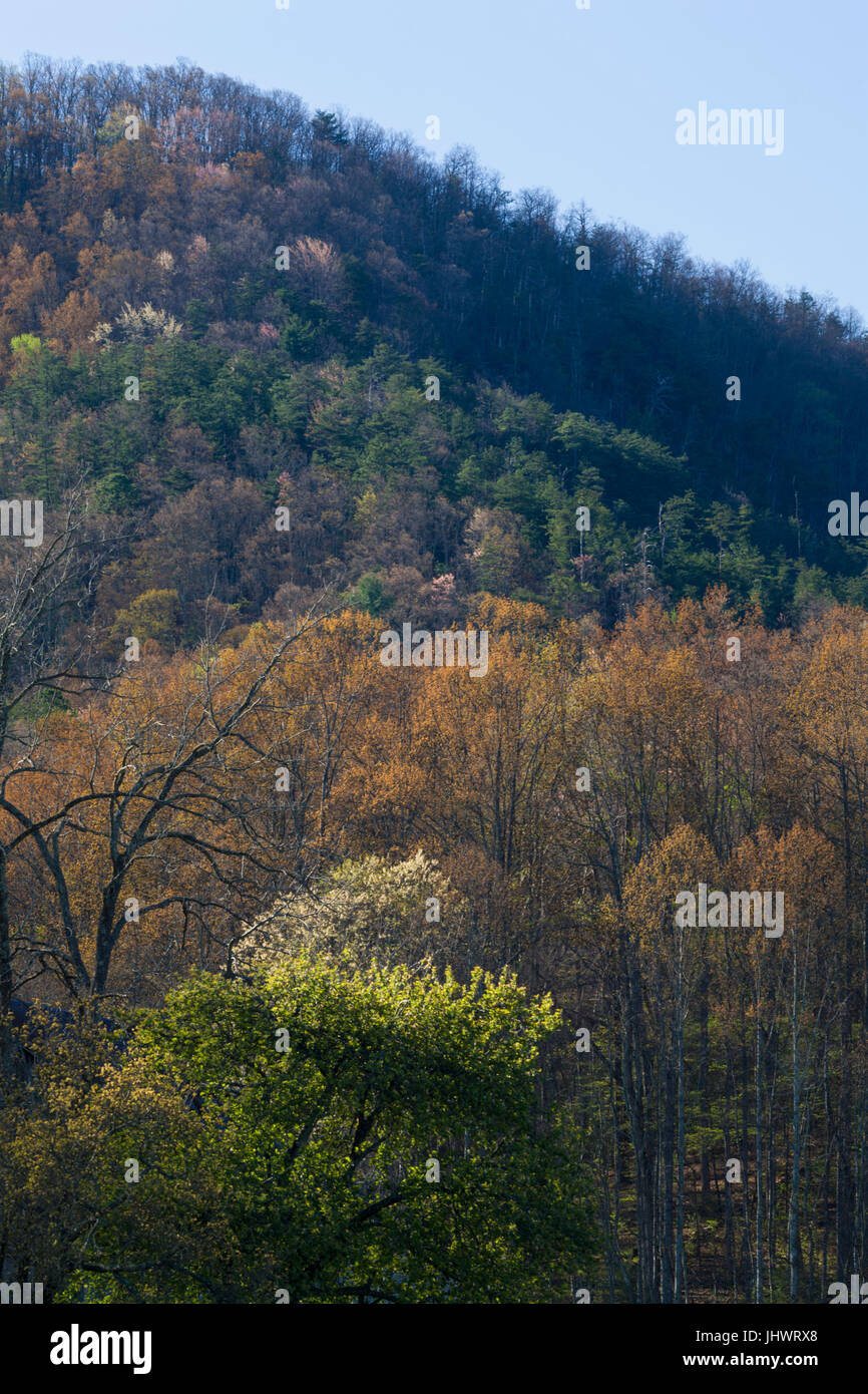 Early Spring in Wears Valley, Tennessee Stock Photo - Alamy