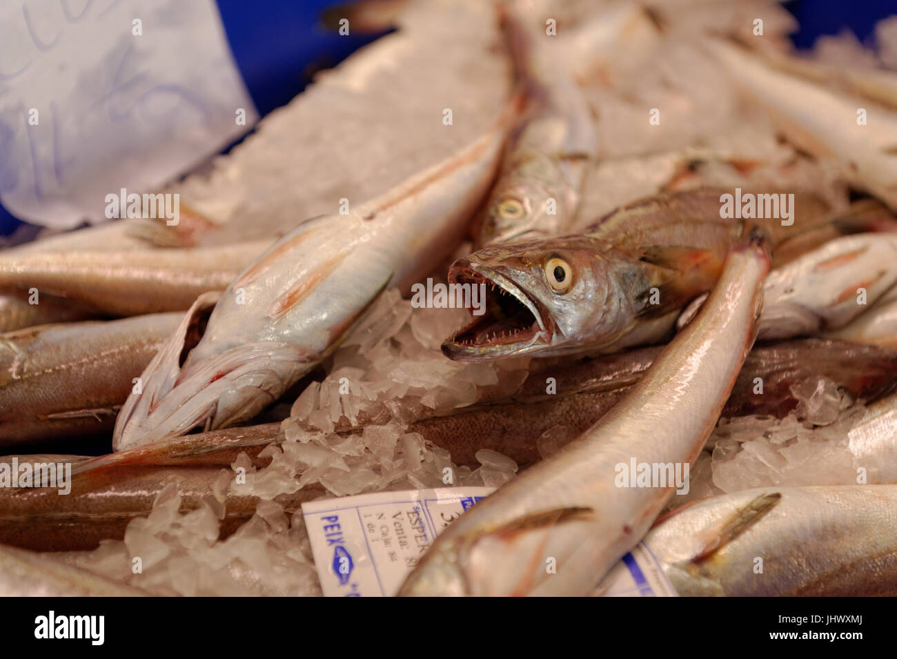 Fish market of Calpe, Spain Stock Photo - Alamy