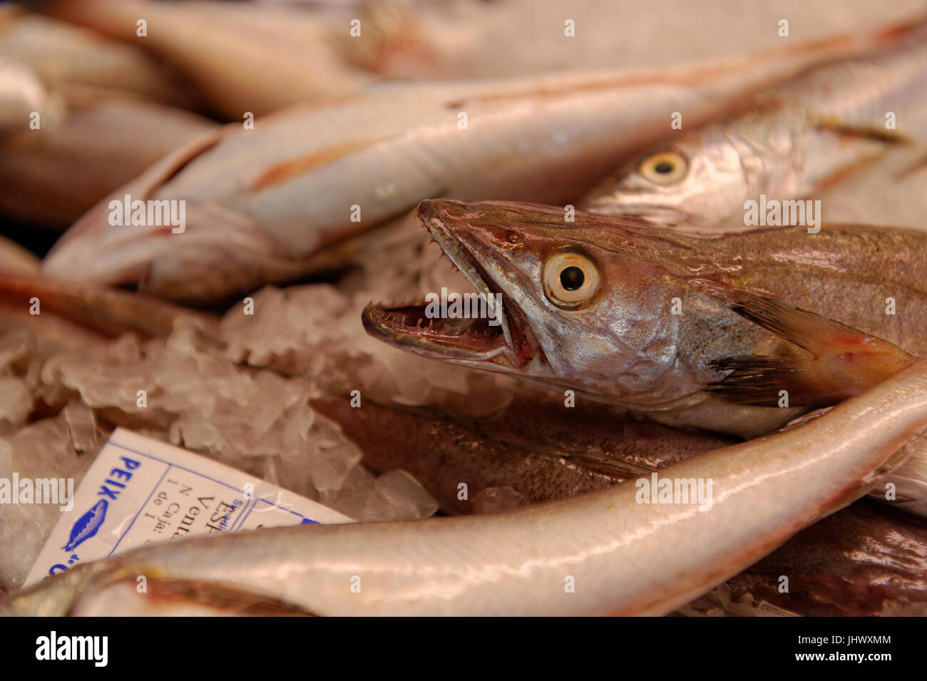Fish market of Calpe, Spain Stock Photo - Alamy