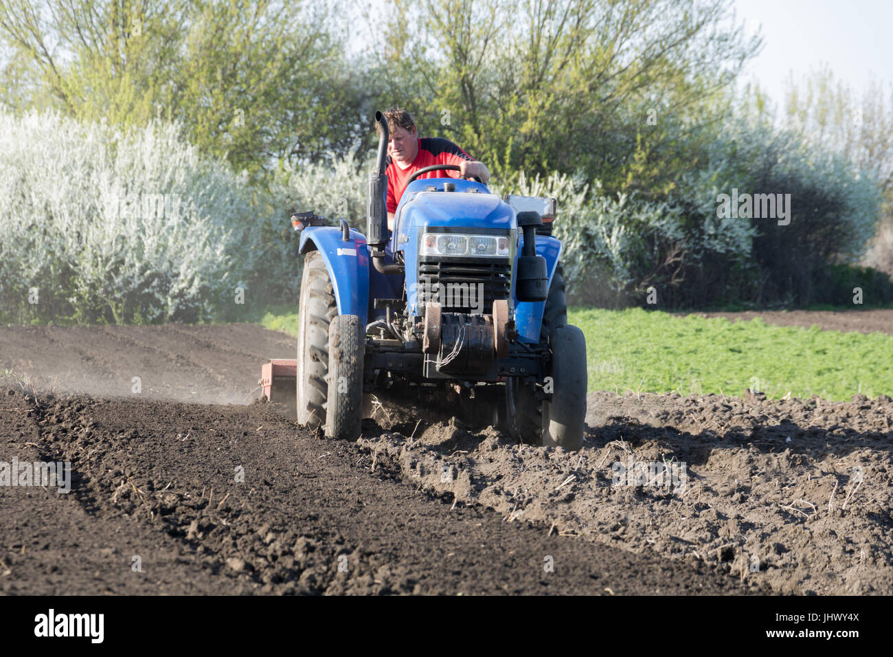 The farmer cultivates the garden with a tractor Stock Photo - Alamy