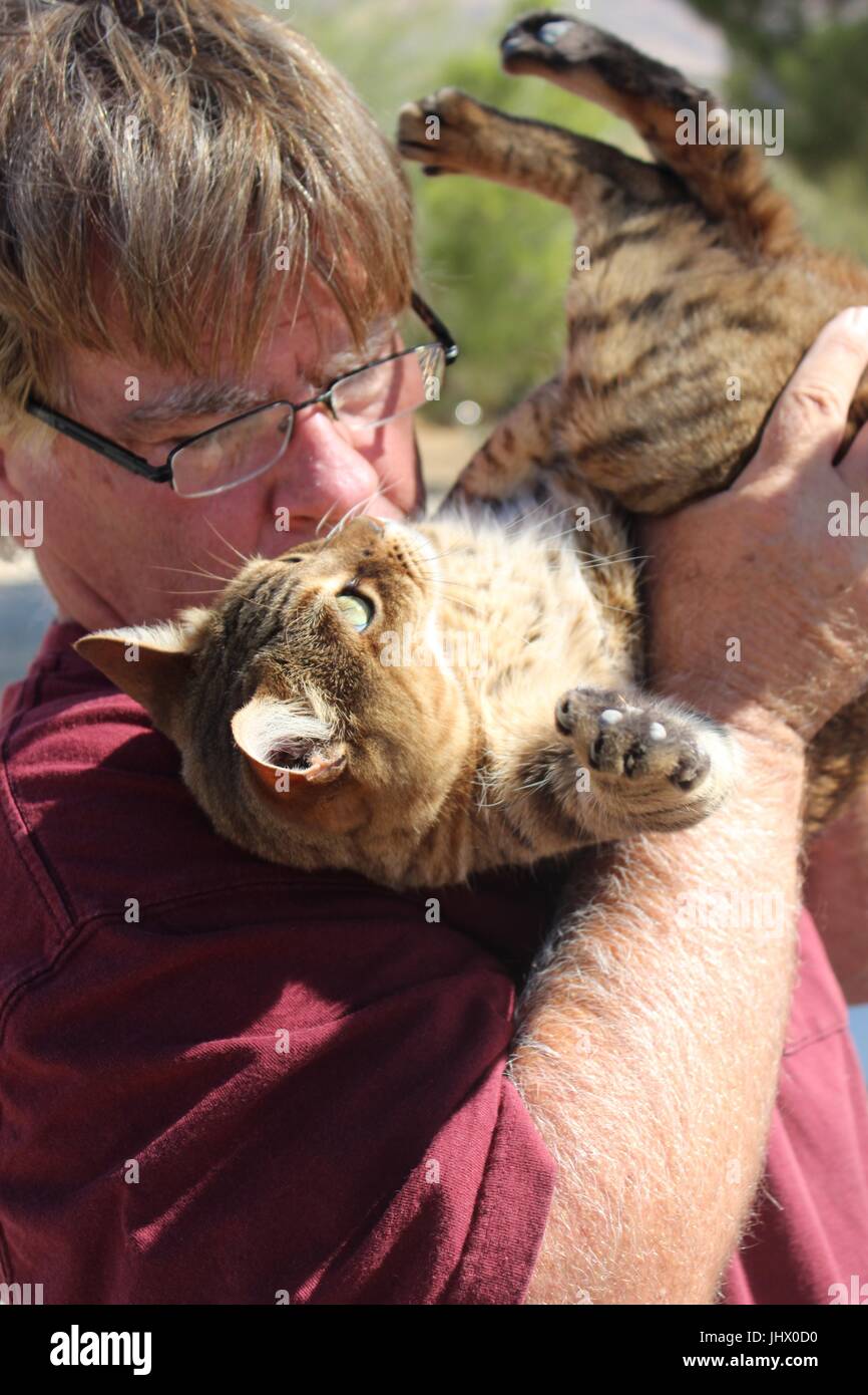 Man with cat Stock Photo - Alamy