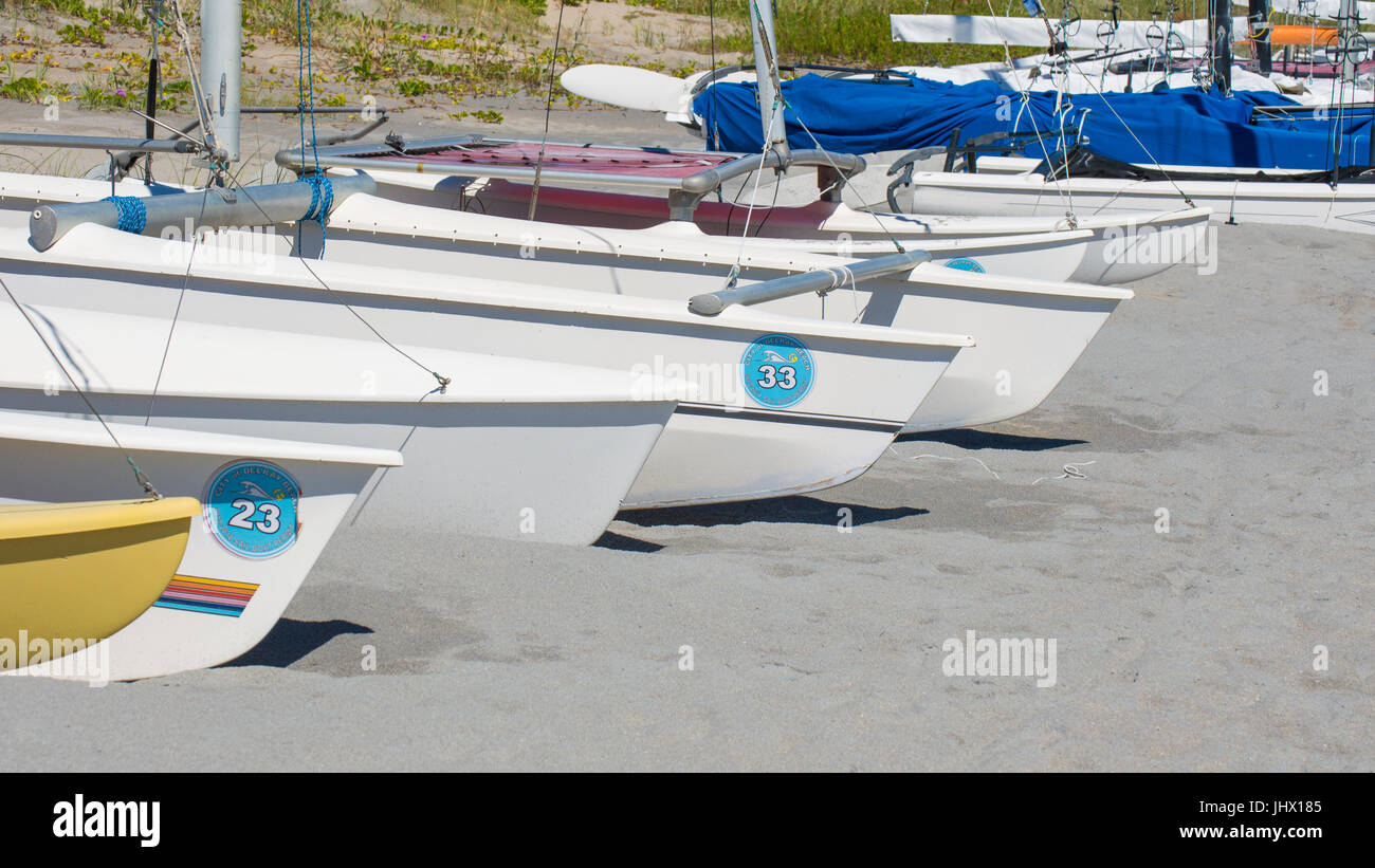 row of empty sailboats for rent on a Florida beach Stock Photo - Alamy