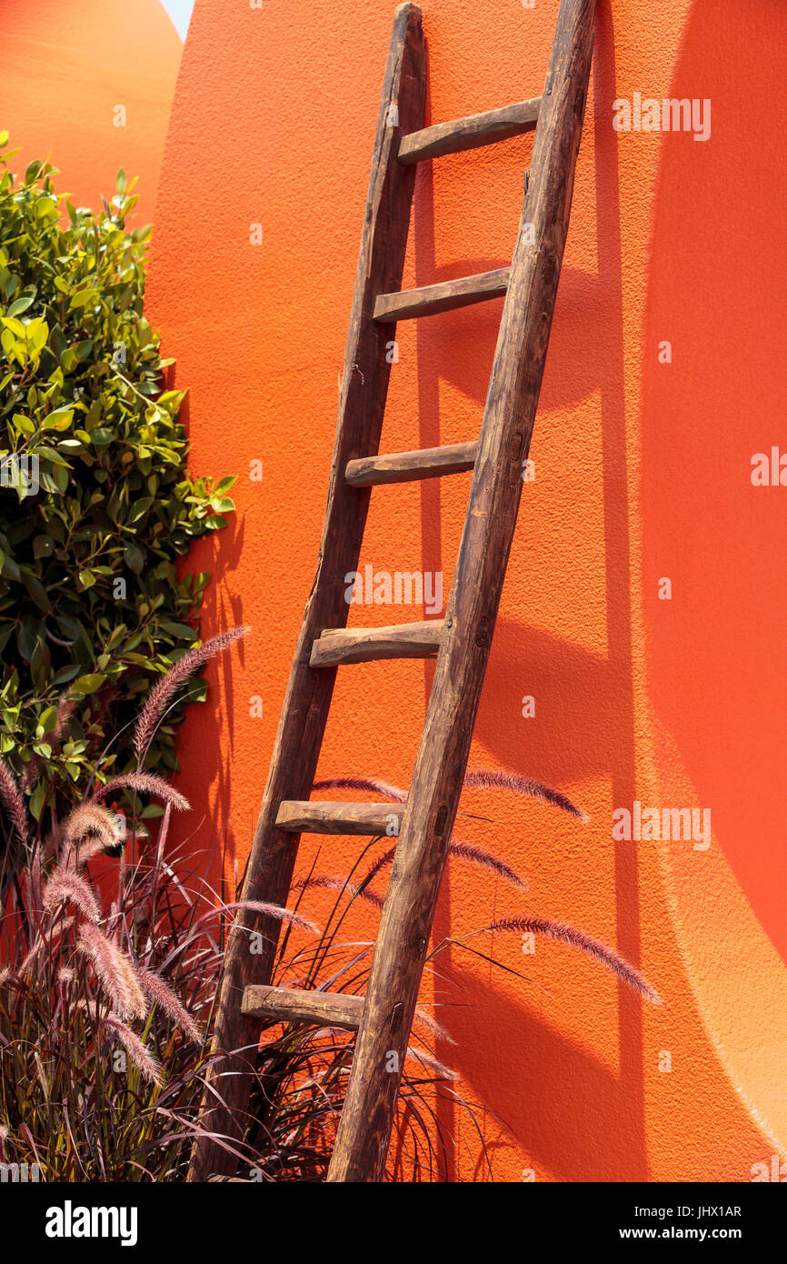 Rustic wooden ladder against a bright orange wall in summer Stock Photo ...