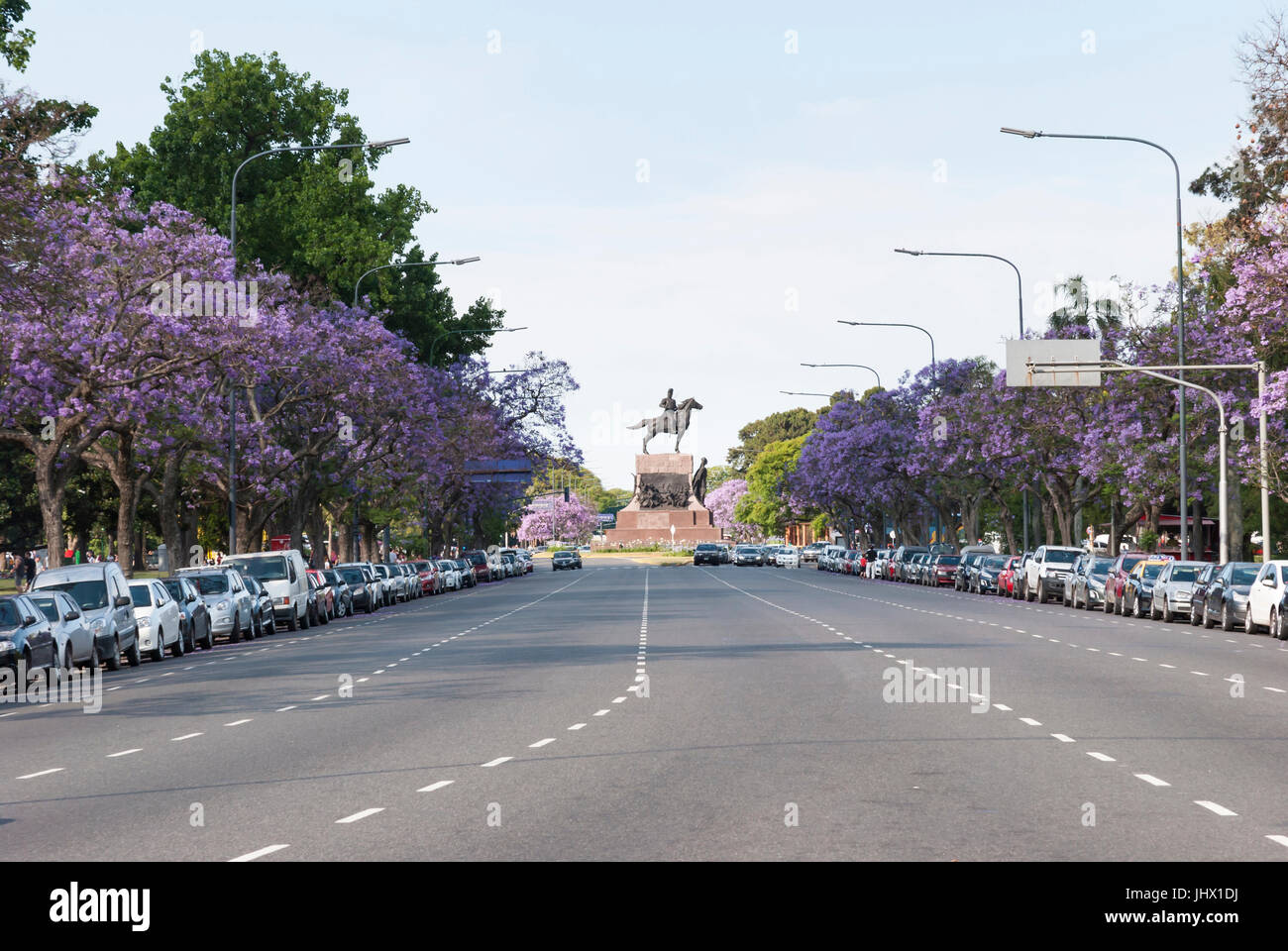 Buenos Aires, Argentina, during springtime. Jacaranda trees (jacaranda ...