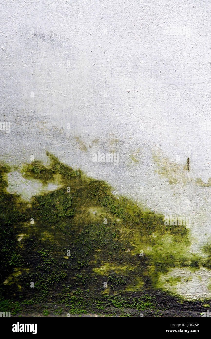 Starving creatures hi-res stock photography and images - Alamy