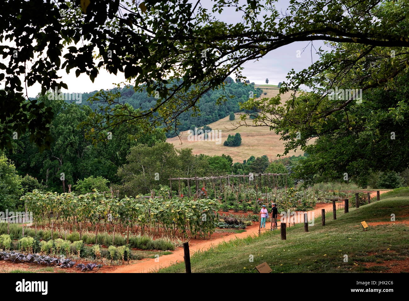 Grounds and Gardens, Monticello, Virginia Stock Photo - Alamy