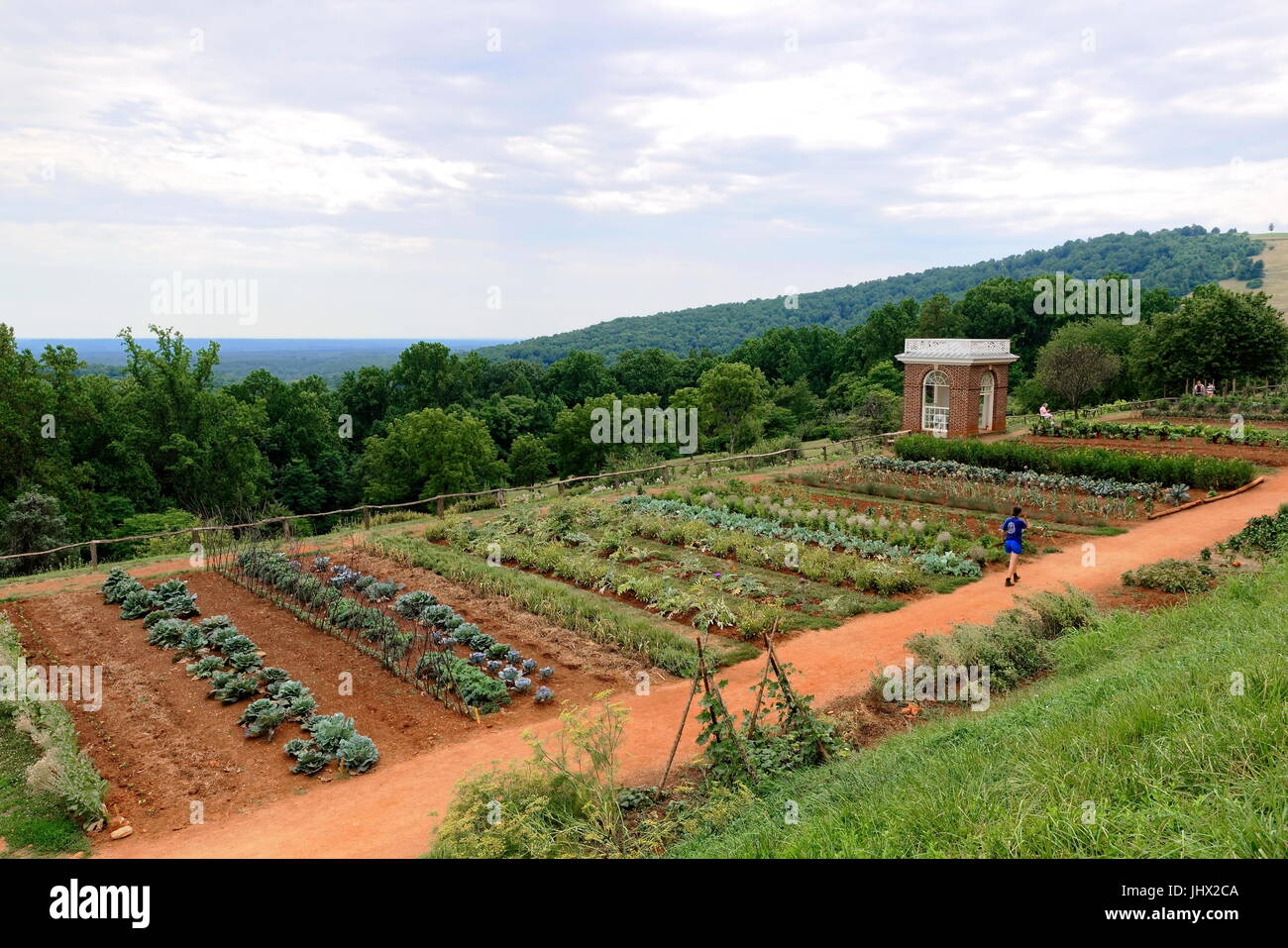 The vegetable garden of Thomas Jefferson's plantation, Monticello ...