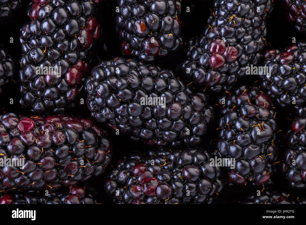 Abstract berry background texture of a blackberry close-up Stock Photo ...