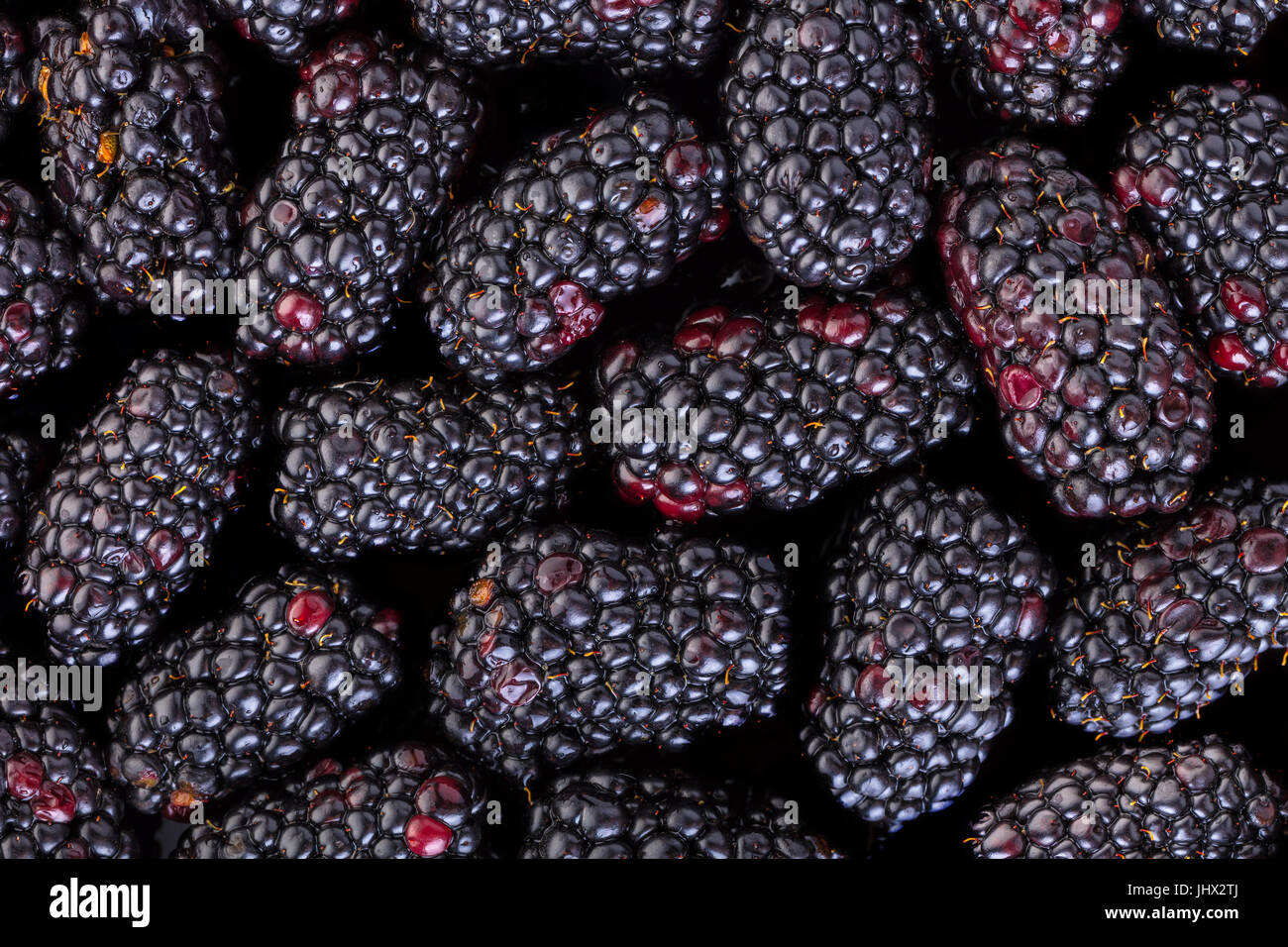 Abstract berry background texture of a blackberry close-up Stock Photo ...