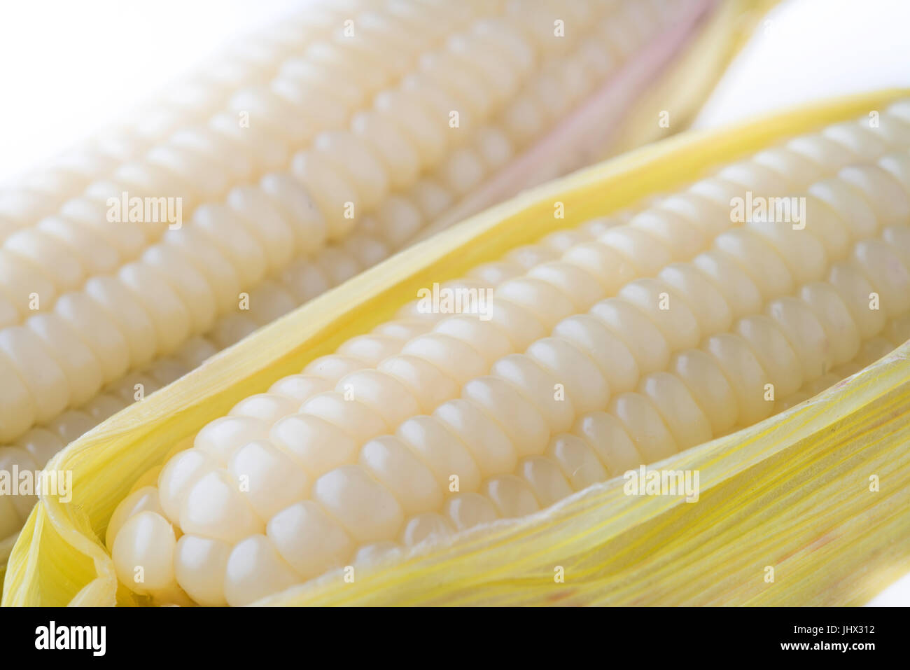 white corn isolated on white background, macro shot Stock Photo - Alamy