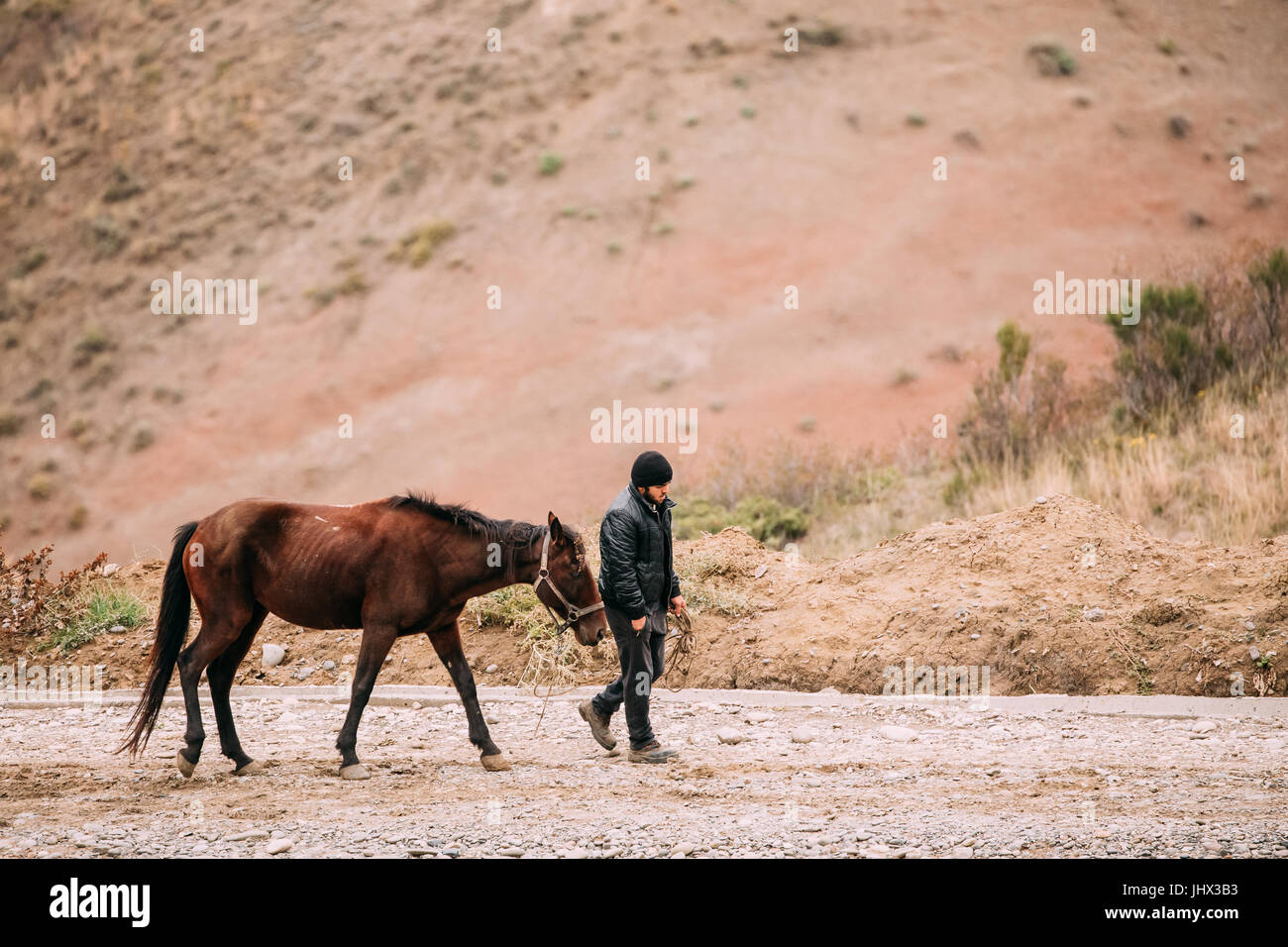 Sagarejo Municipality, Kakheti Region, Georgia. Man Leads Horse Near ...