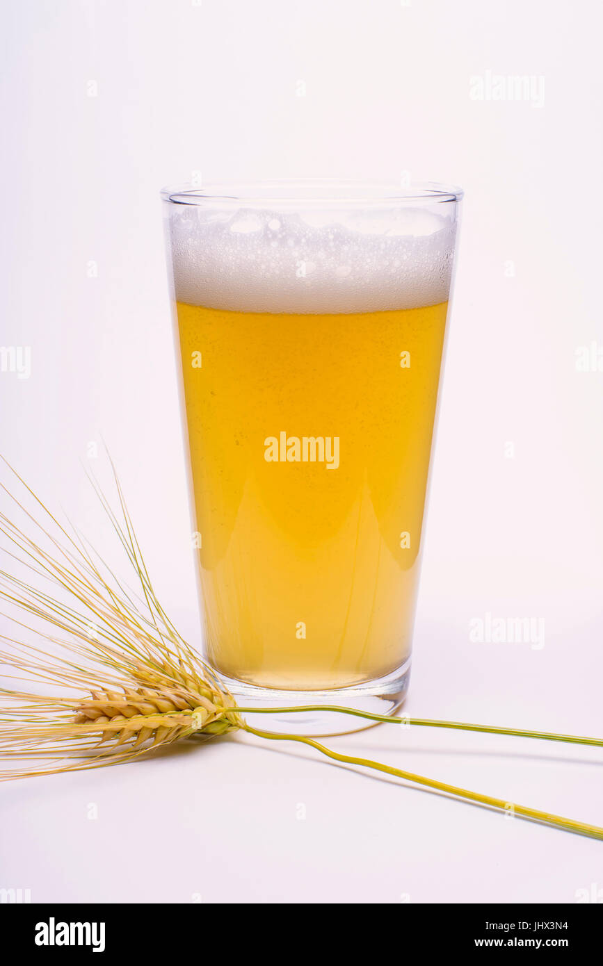 Beer glass barley hi-res stock photography and images - Alamy